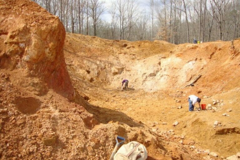 17 Best Locations For Gem Mining In South Carolina In 2025