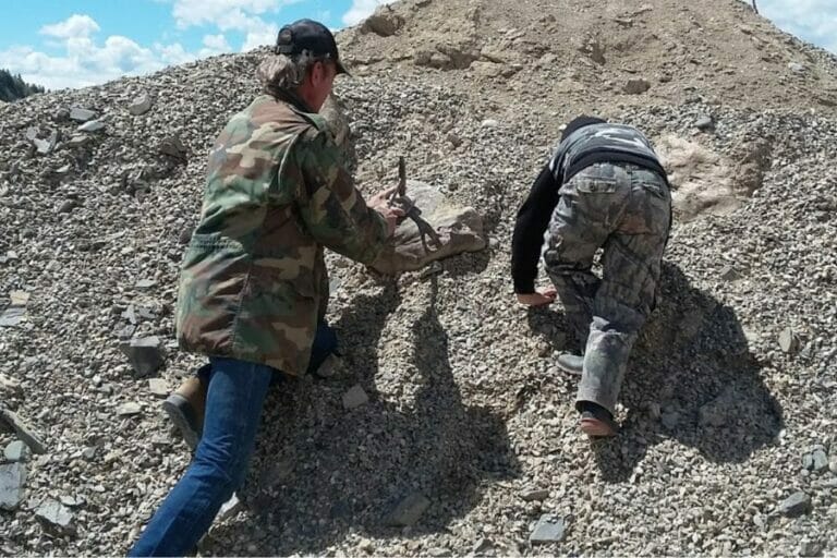 19 Best Spots For Gem Mining In Montana In 2025