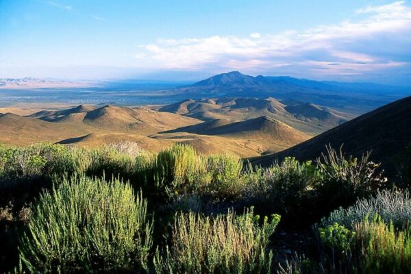 10 Best Places You Can Find Geodes In Nevada In 2026