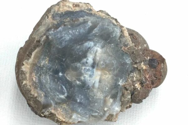 17 Top Places To Find North Carolina Geodes in 2025