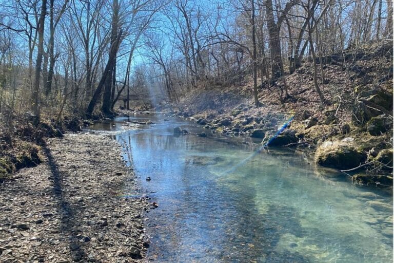 38 Top Notch Sites To Find Crystals in Arkansas in 2025