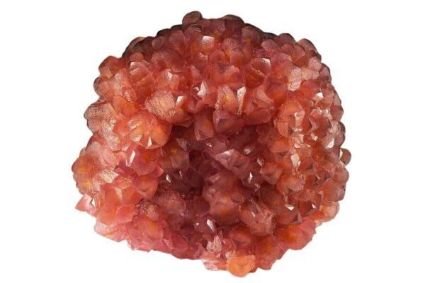 The 7 Most Valuable Rocks and Minerals You Can Find in Florida - Rock ...