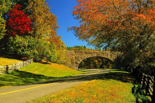 Our Favorite Virginia Rockhounding Sites In 2025