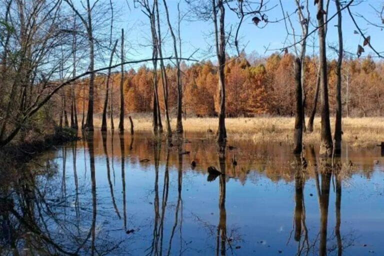48 Great Tennessee Rockhounding Sites To Try In 2025
