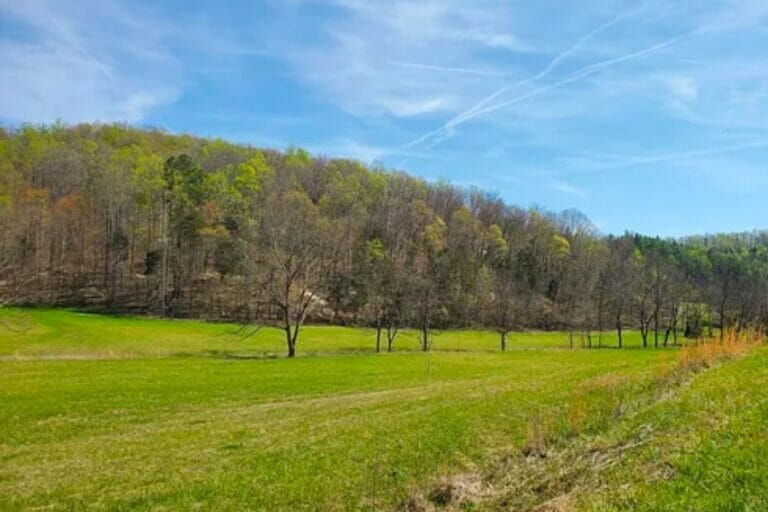 47 Certified Kentucky Rockhounding Sites In 2025