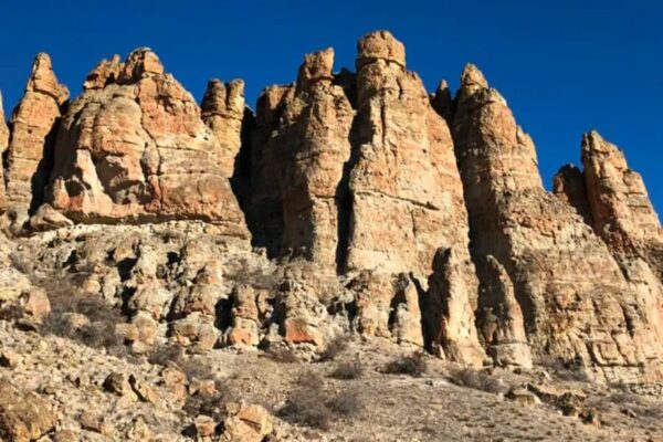 57 Proven Places To Find Petrified Wood In Oregon In 2025