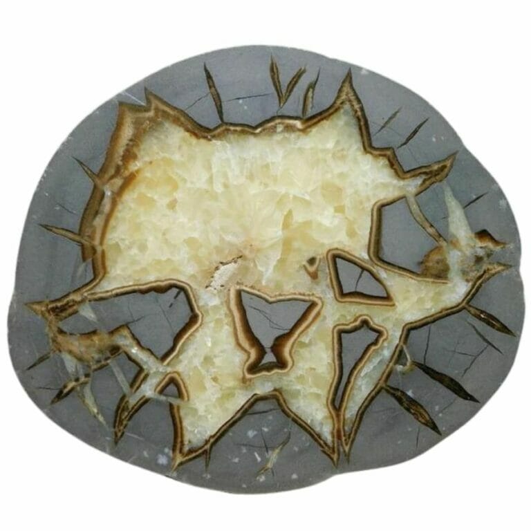 Full Septarian Nodule Guide: Photos, Facts, and Locations