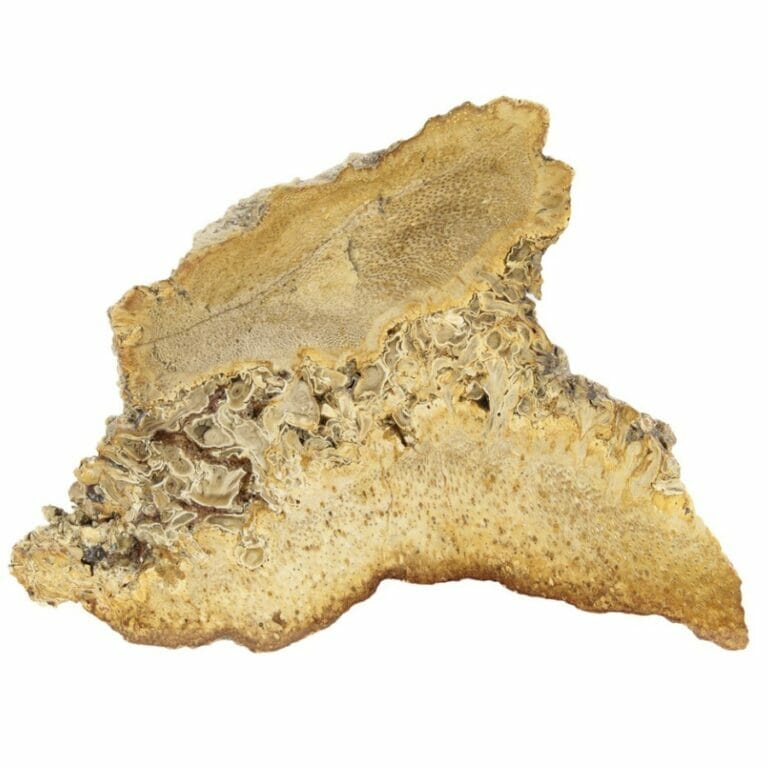 Full Guide To Texas Rocks, Minerals, & Gems (With Photos)