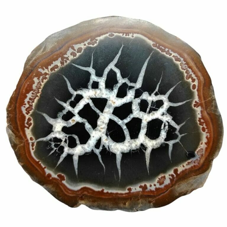 Full Septarian Nodule Guide: Photos, Facts, and Locations
