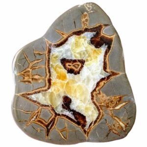 Full Septarian Nodule Guide: Photos, Facts, and Locations
