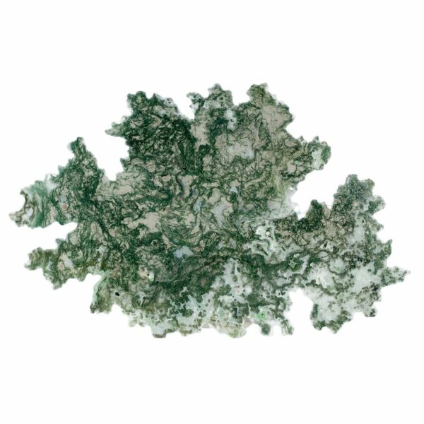 Tree Agate vs Moss Agate - Tell Them Apart (With Photos)