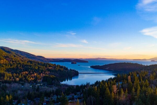 49 Great Places To Find Washington Fossils In 2025