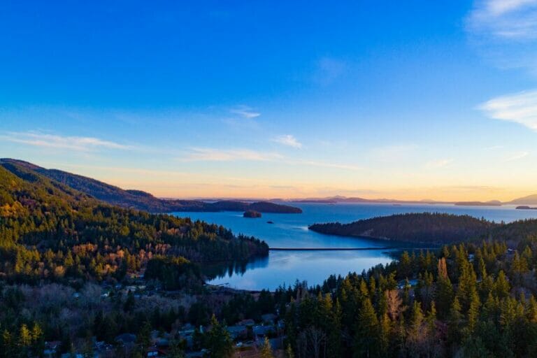 49 Great Places To Find Washington Fossils In 2025