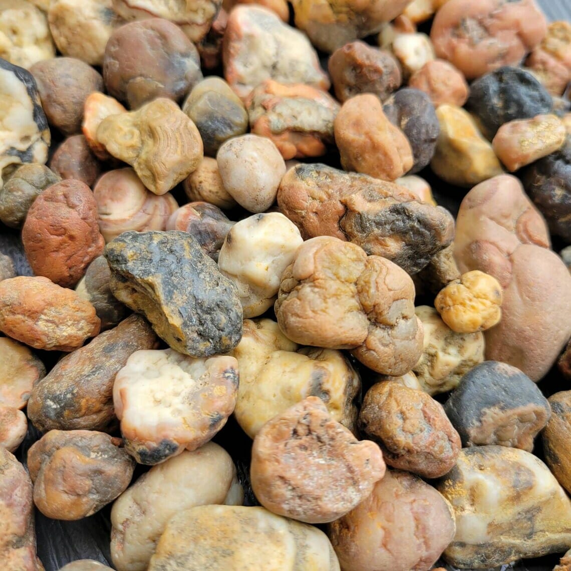 56 Sure Sites To Find Agates In Nebraska In 2026