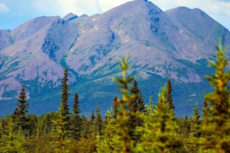 Where And How We Find And Identify Jade In 2025