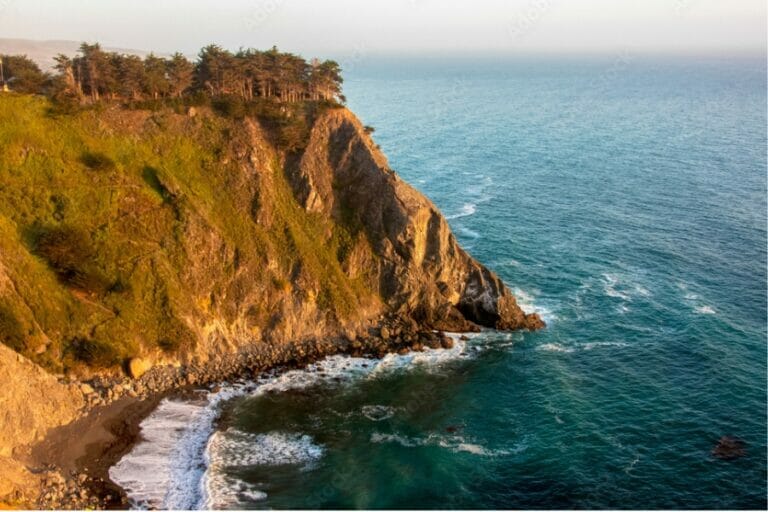51 Great Places To Find California Fossils In 2025