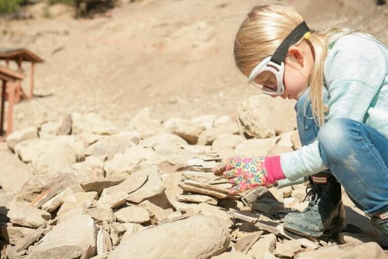 49 Great Places To Find Washington Fossils In 2025