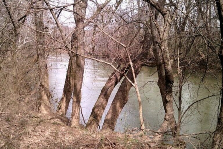 25 Excellent Spots To Find Georgia Fossils In 2025