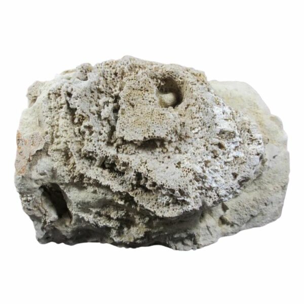 53 Legit Places To Find Wisconsin Fossils In 2025