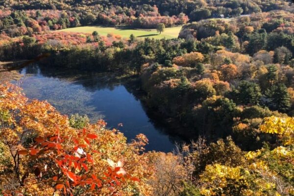 18 Best Areas To Find Connecticut Fossils In 2025