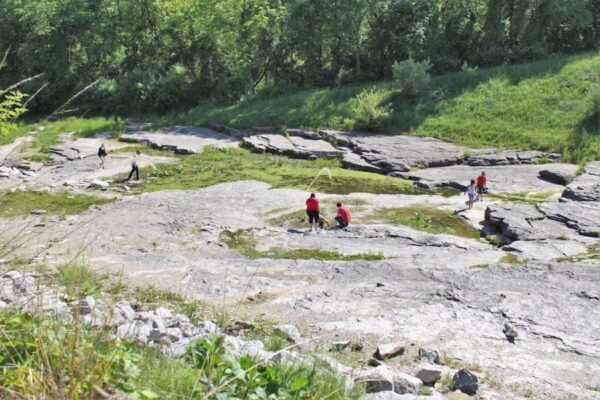 63 Legit Places To Find Iowa Fossils In 2025 (Proven Spots)