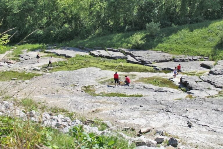 63 Legit Places To Find Iowa Fossils In 2025 (Proven Spots)