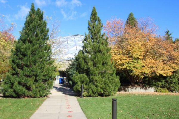 18 Best Areas To Find Connecticut Fossils In 2025