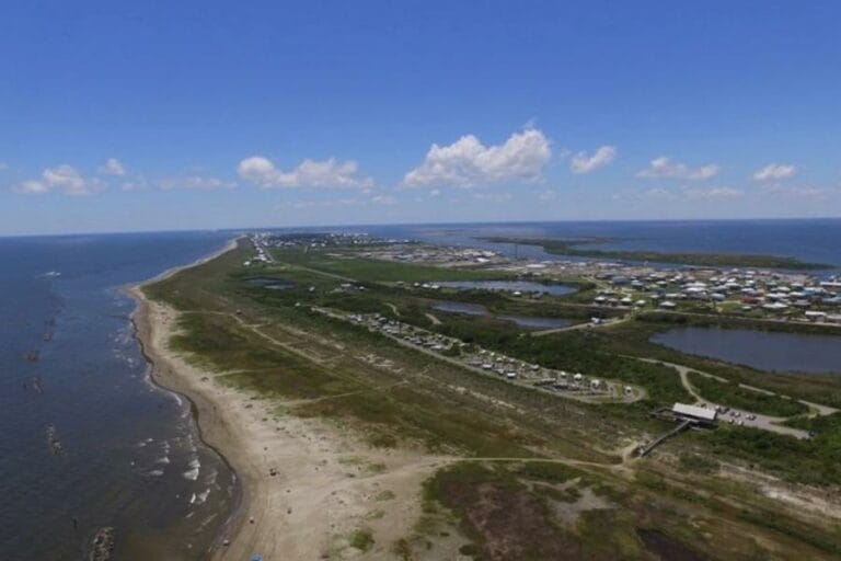 16 Great Spots To Find Louisiana Fossils In 2025