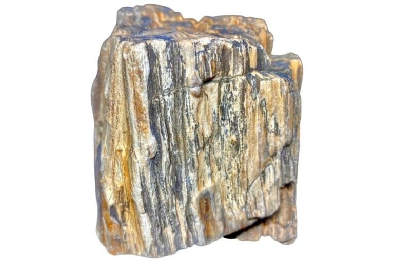 16 Great Spots To Find Louisiana Fossils In 2025