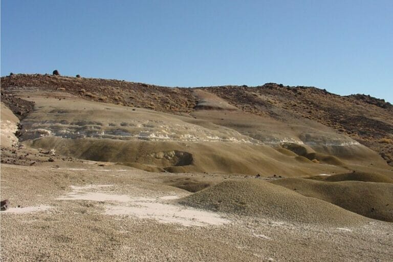 Where And How We Find And Identify Flint In 2025