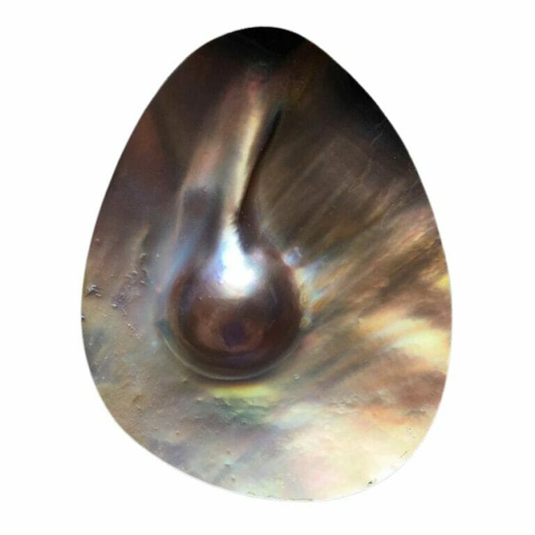 Where And How We Find And Identify Pearls In 2025