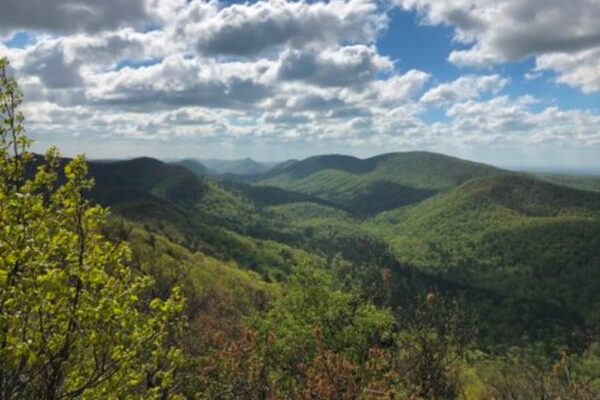 13 Legit Spots To Find Turquoise In Arkansas In 2025