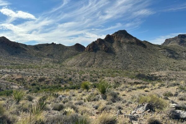 18 Prime Spots To Find Opal in Texas in 2025