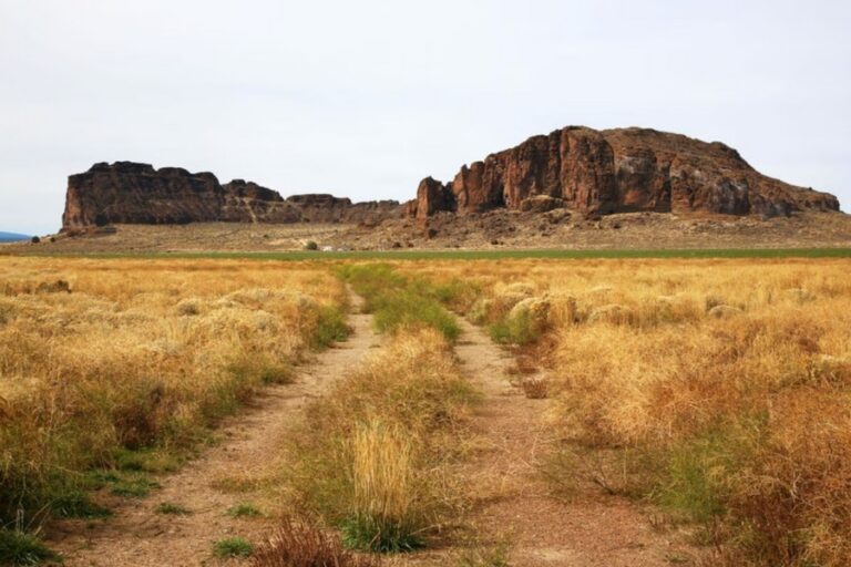 21 Legit Places To Find Opal In Oregon In 2025