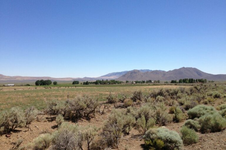 61 Authentic Spots To Find Opal in Nevada in 2025