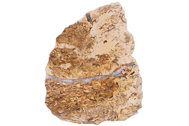 Guide To Indiana's Rocks, Minerals, & Gems (With Photos)