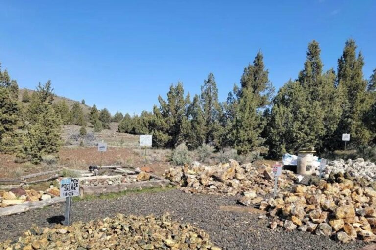 21 Legit Places To Find Opal In Oregon In 2025