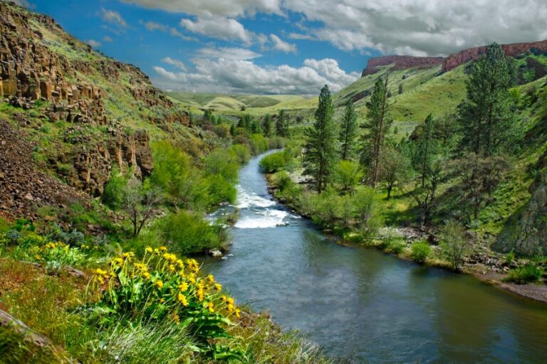 11 Proven Places To Find Turquoise In Oregon In 2025
