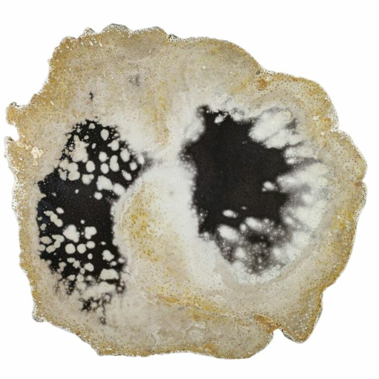 The Rocks, Minerals, and Gems of Louisiana You Can Find