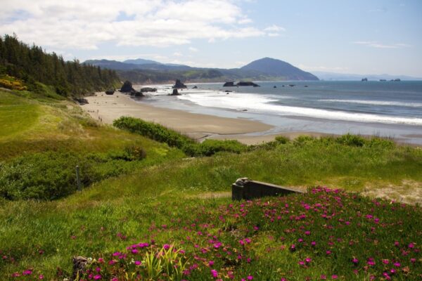 12 Amazing Spots To Find Jade In Oregon In 2026