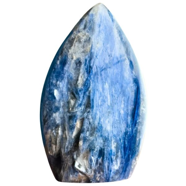 The 16 Most Valuable Rocks & Minerals You Can Find In Florida