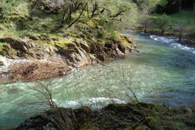 12 Amazing Spots To Find Jade In Oregon In 2025