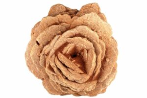 The Rocks, Minerals, and Gems of Oklahoma You Can Find