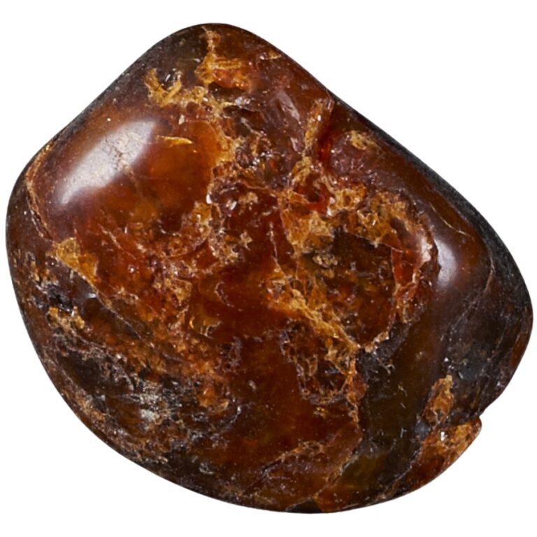 The 22 Different Types Of Amber (With Incredible Photos)
