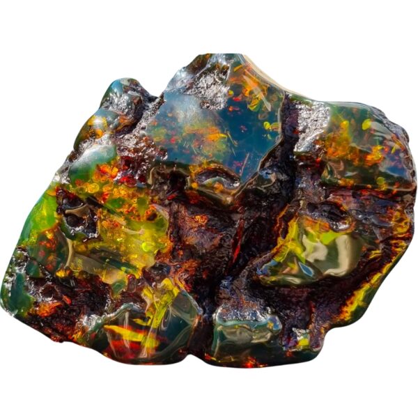 The 22 Different Types Of Amber (With Incredible Photos)