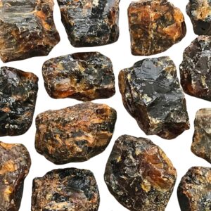 The 22 Different Types Of Amber (With Incredible Photos)