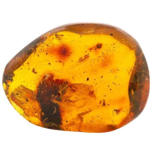 The 9 Valuable Crystals and Stones You Can Find on the Beach