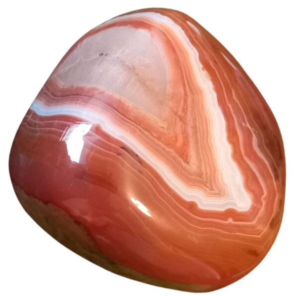 The 16 Most Valuable Rocks & Minerals You Can Find In Florida