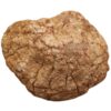 The 13 Big Mistakes Geode Hunters Make (They Are Easy To Do)