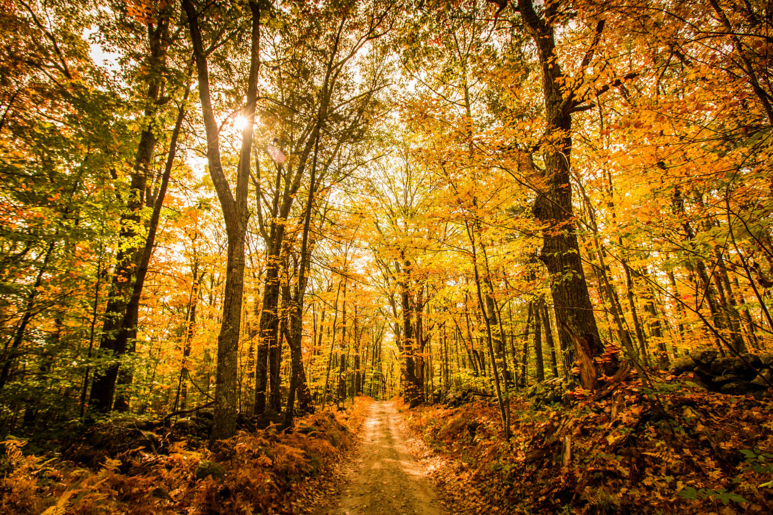 15 Best Places To Find Soapstone In The US